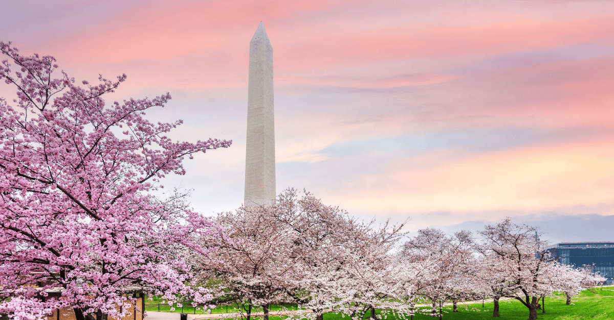 DC Insider April 2026: Washington Policy Shifts | ICR